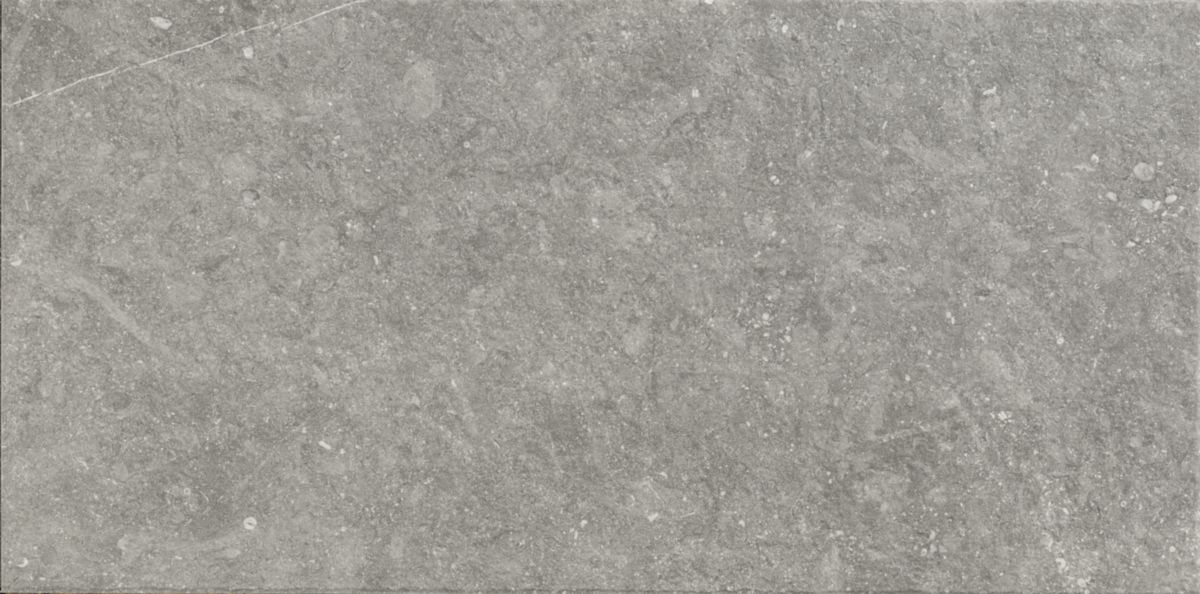 Carrelage de sol extérieur grès cérame Mystone Bluestone - grigio rectifié - 50x100 cm - ép. 20 ...