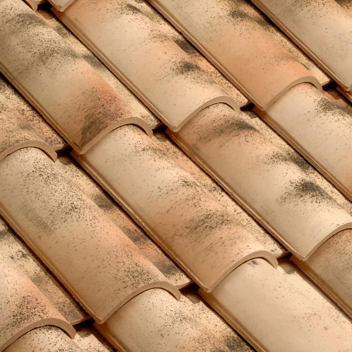 Tuile de rive ronde individuelle gauche à emboîtement Plein Sud/med ...