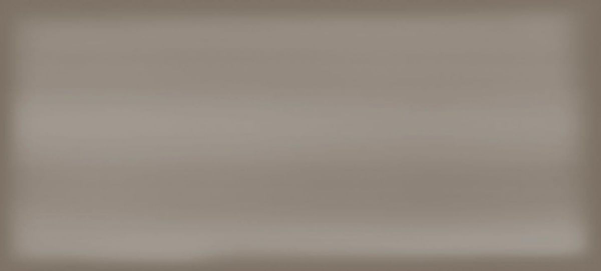 Faïence murale Trend - ton taupe brillant - 25x55 cm - ép. 8 mm - CINCA