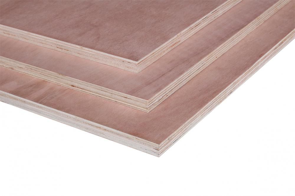 Contreplaqué Powerplex Bio 250X122cm épaisseur 10mm - ACTIVE TRADING