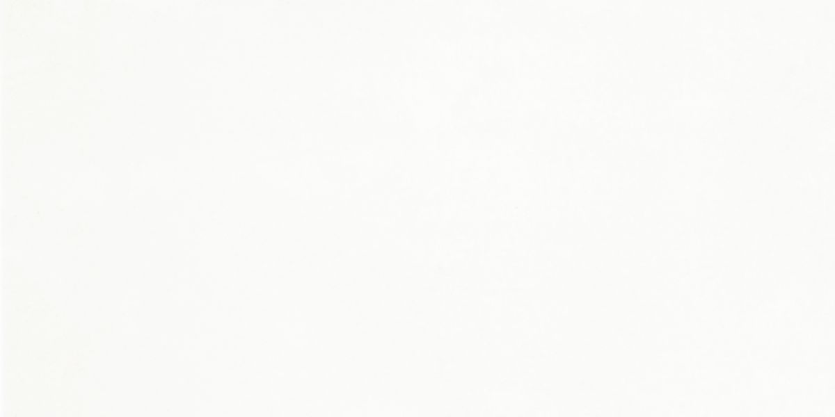 Faïence murale Extra - blanc gris - 20x40 cm - RAKO